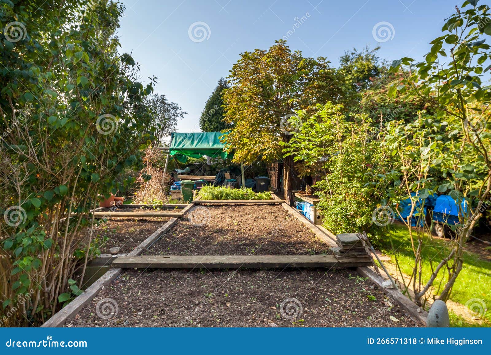 Garden vegetable patch stock photo. Image of earth, gardening - 266571318