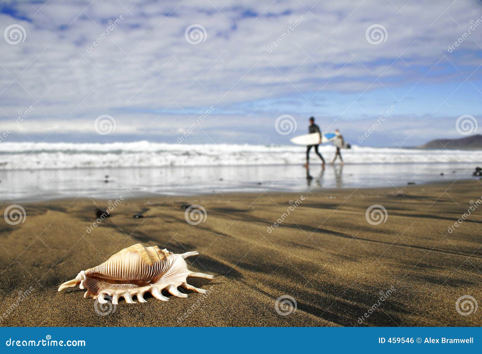 Snail Surfing Stock Photos - Free & Royalty-Free Stock Photos from ...