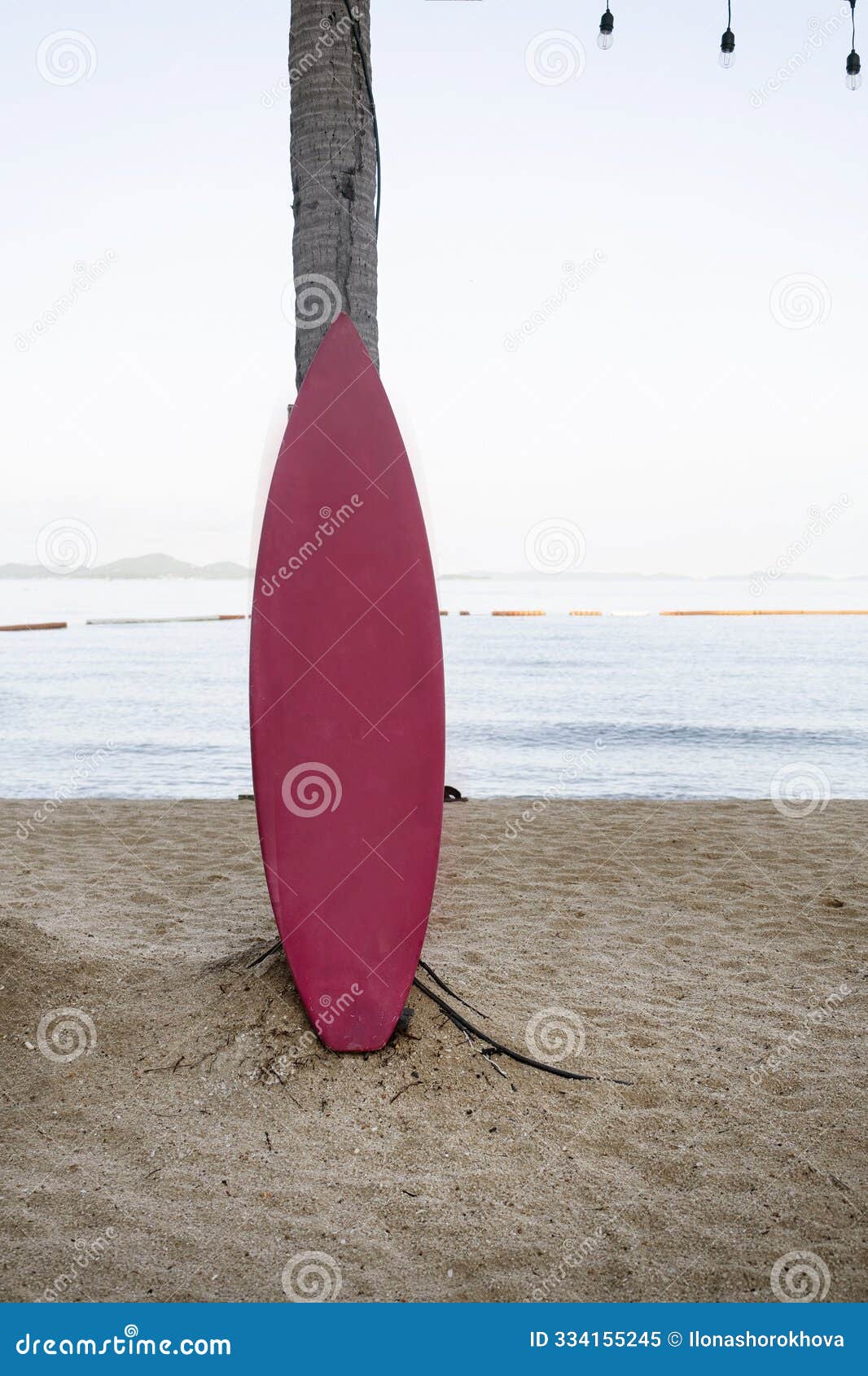 Surf Board on the Beach for Mockup Design Stock Image - Image of ...