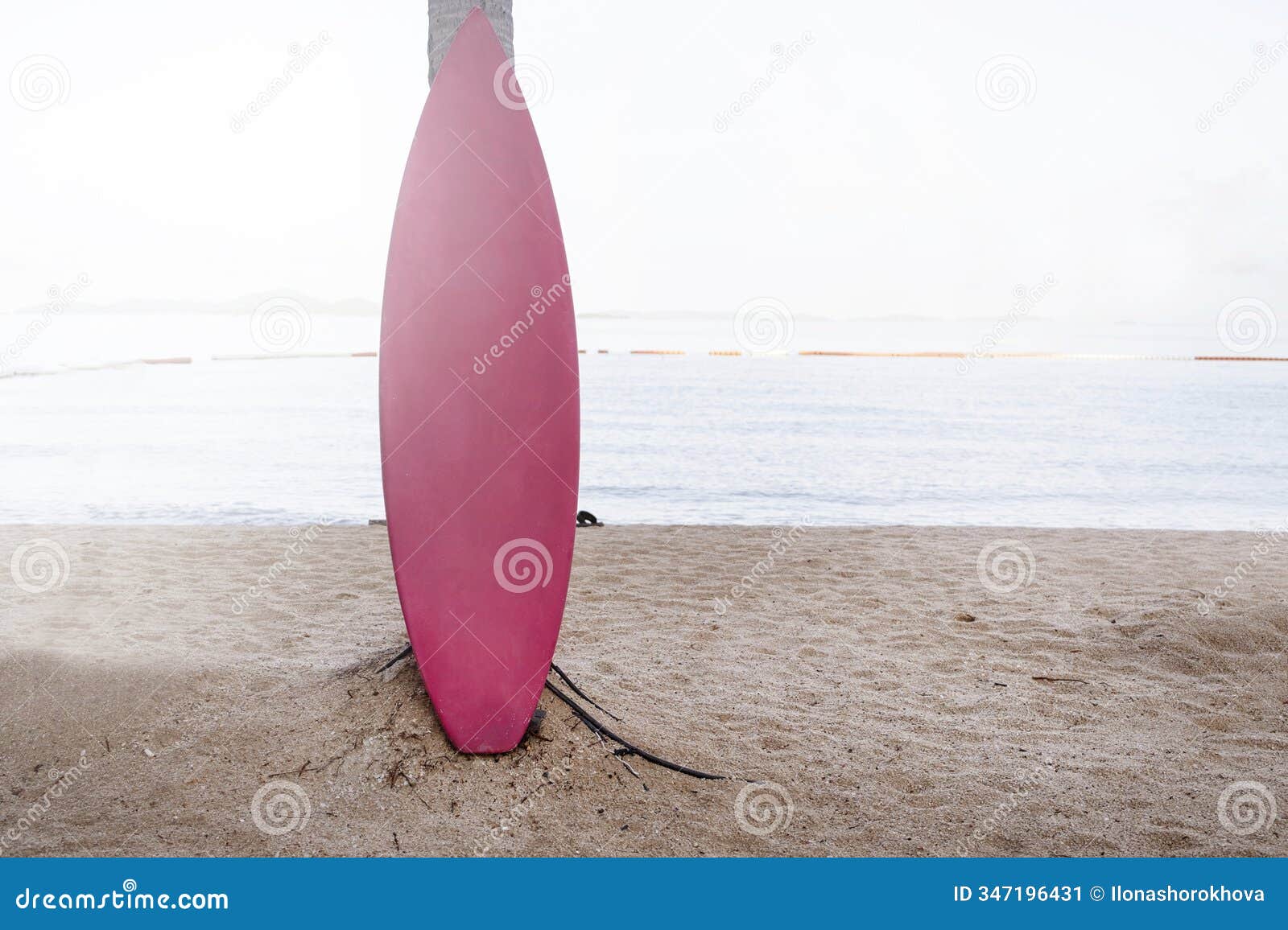 Surf Board on the Beach for Mockup Design Stock Image - Image of surfer ...