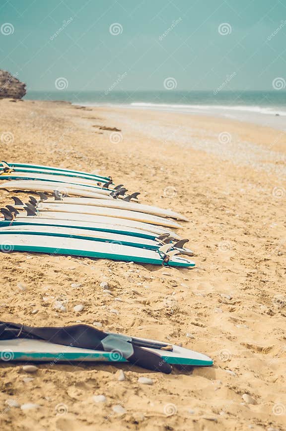 Surf boards on the beach stock image. Image of sunny - 37142165