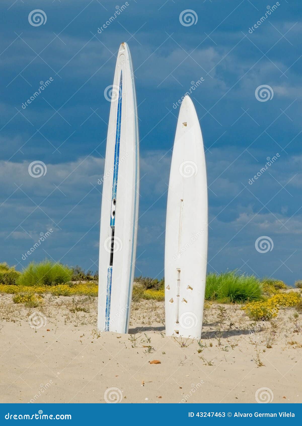 Surf boards in a beach. stock image. Image of watersports - 43247463
