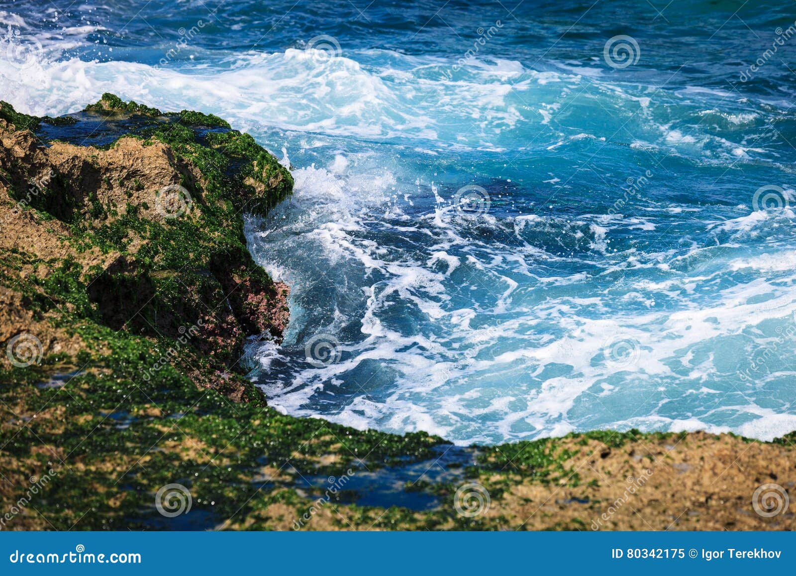 Surf on coral reefs stock image. Image of fortified, idyllic - 80342175