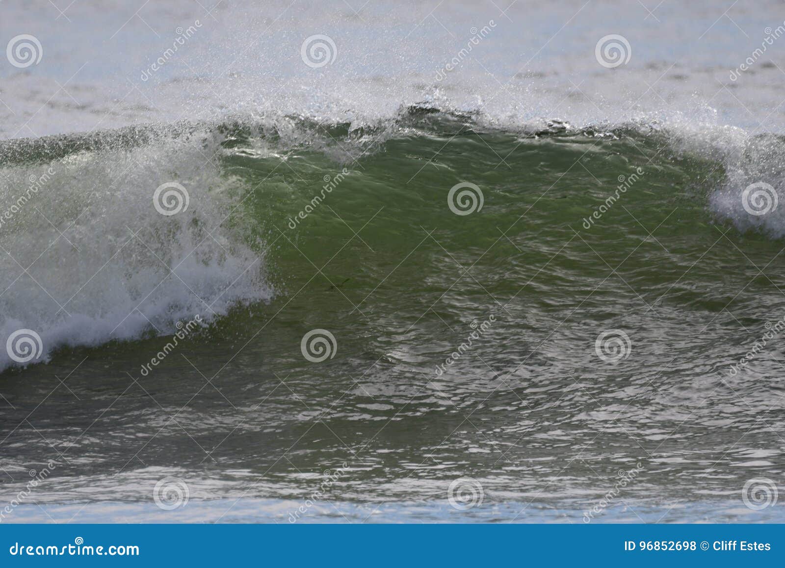 Surf at First Beach in La Push, WA Stock Photo - Image of inlet, water ...