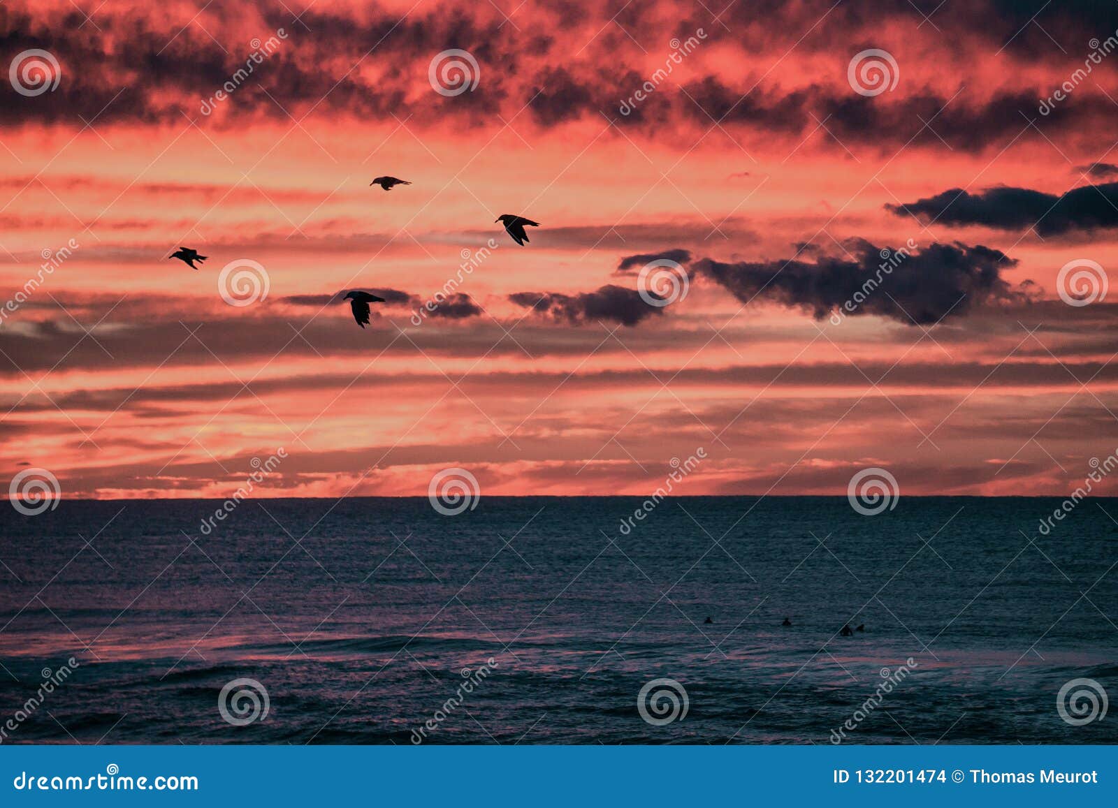 Surf line up at sunrise stock photo. Image of summer - 132201474