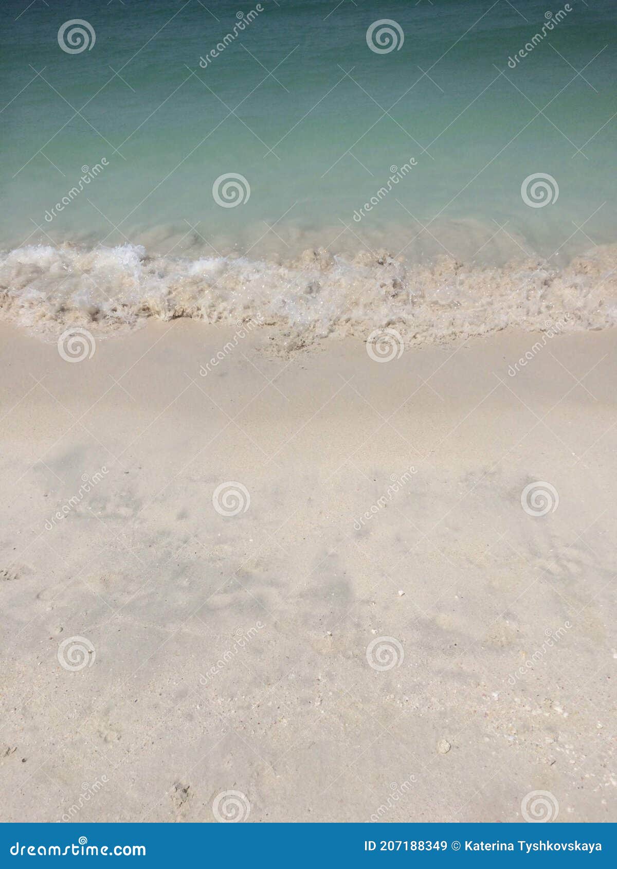 Surf on a shell beach stock image. Image of white, surf - 207188349