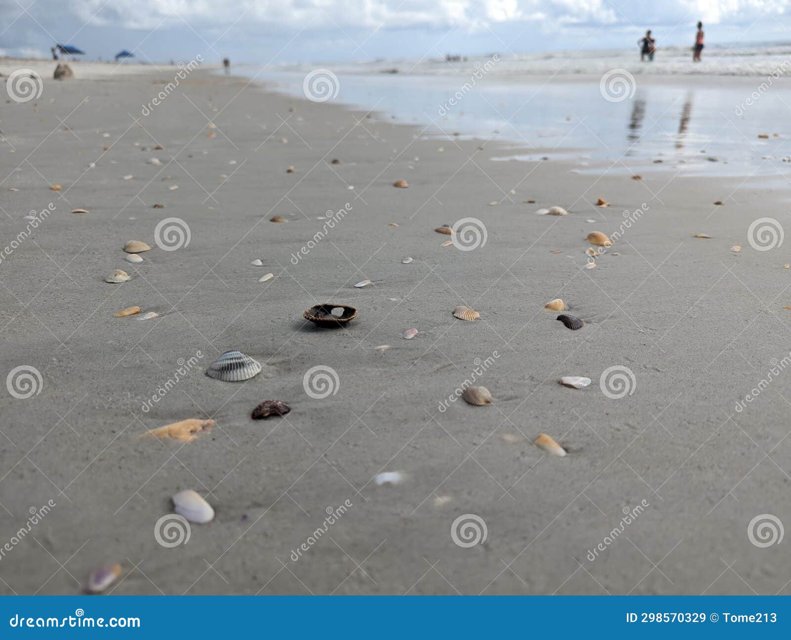 The Surf Washing Over the Beach in St. Augustine Stock Image - Image of ...
