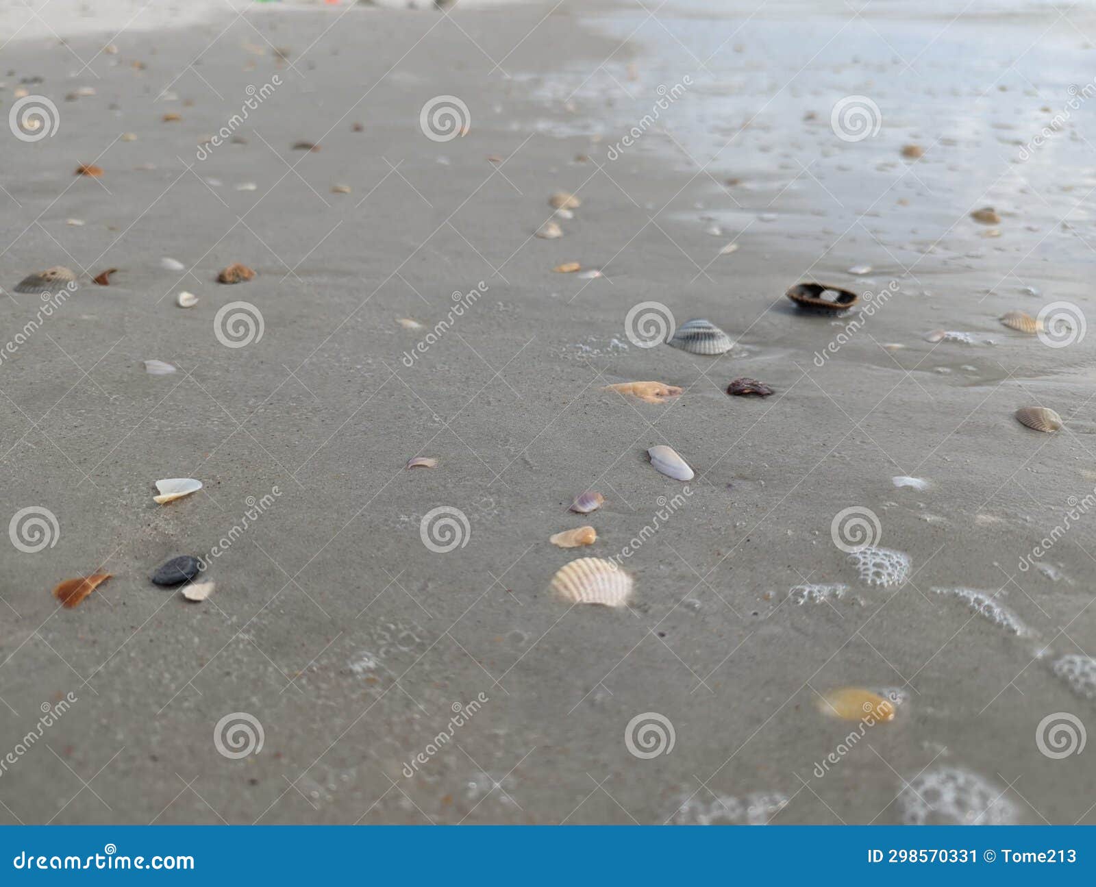 The Surf Washing Over the Beach in St. Augustine Stock Image - Image of ...