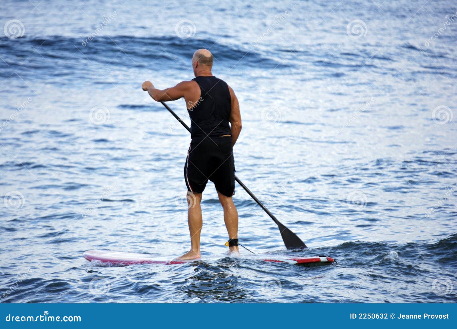 Surfa waves arkivfoto. Bild av utanför, surfingbräda, kondition - 2250632