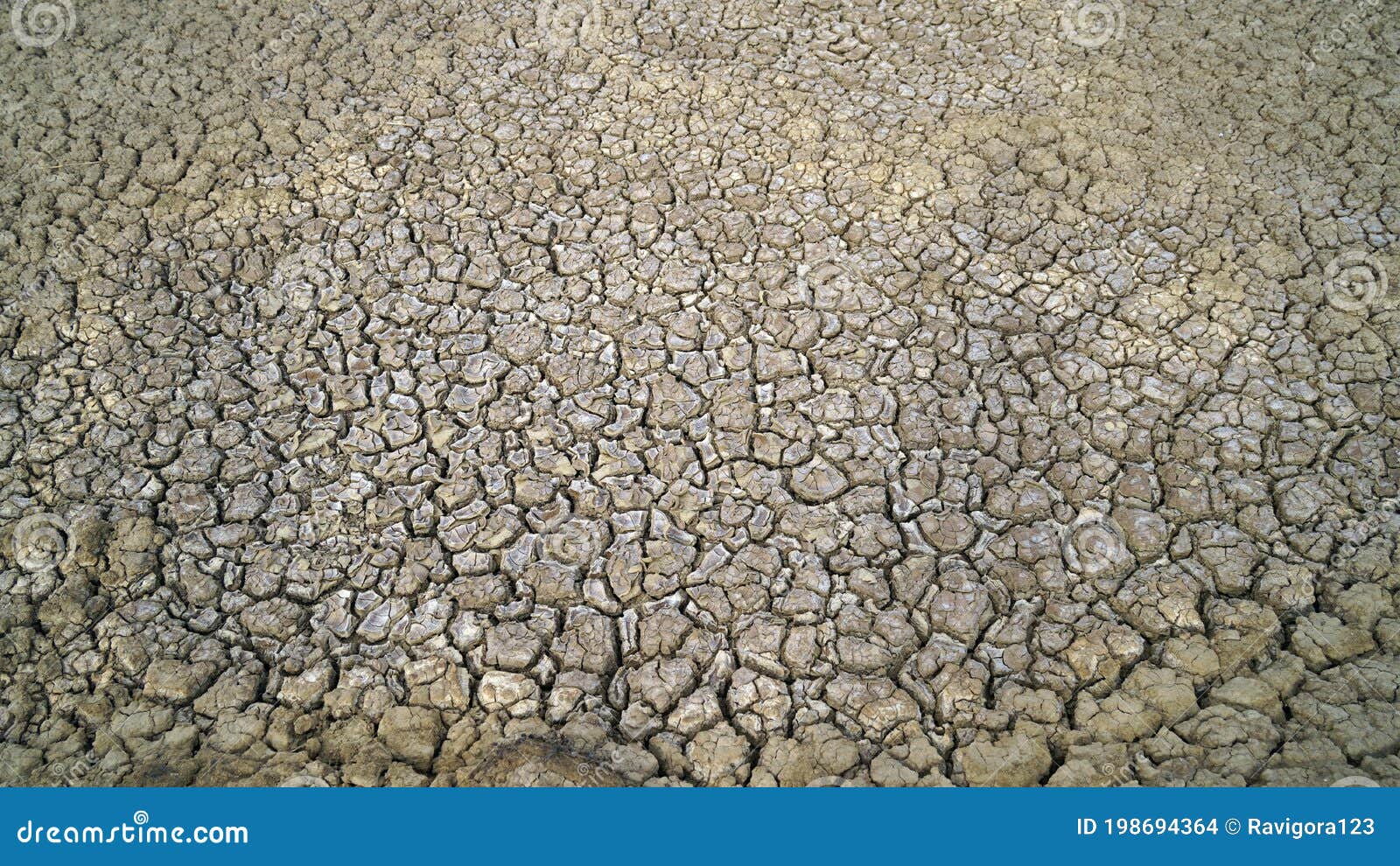 Soil With Fissures Royalty-Free Stock Photo | CartoonDealer.com #7124349