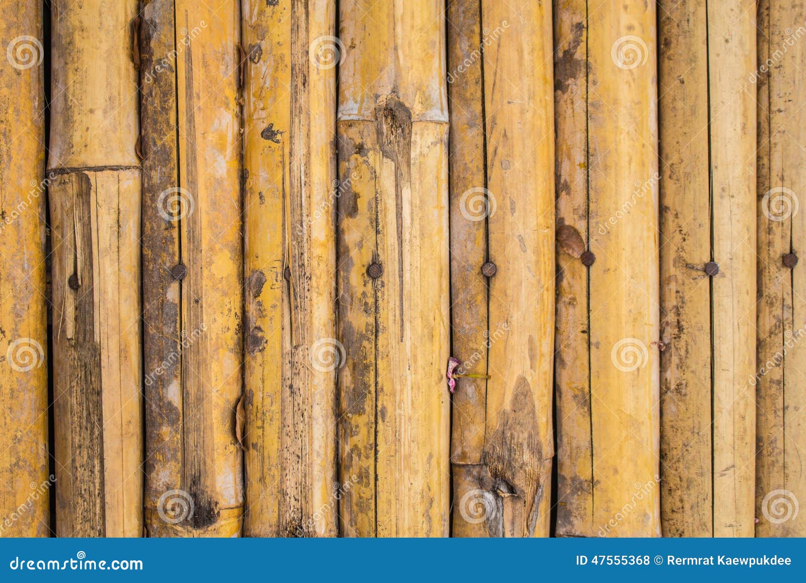The surface of bamboo stock photo. Image of oriental - 47555368
