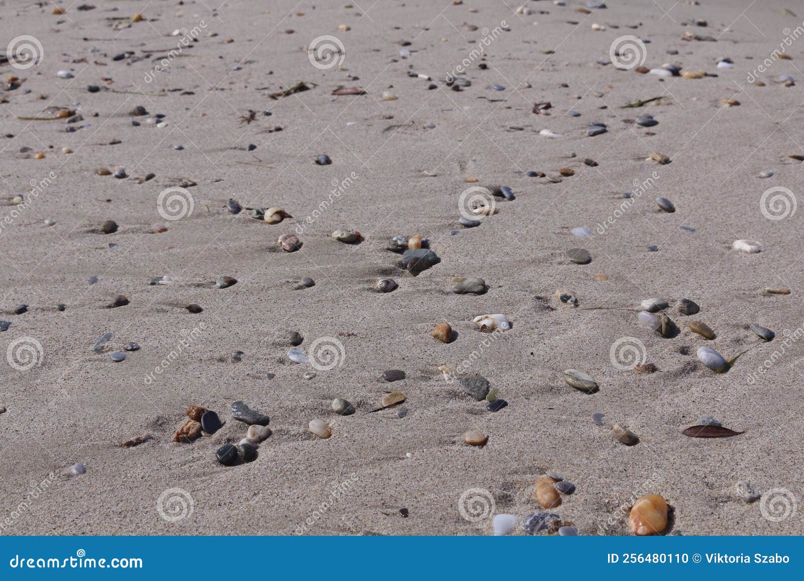 Surface of the Beach, Sand with Small Rocks in it. Stock Photo - Image ...