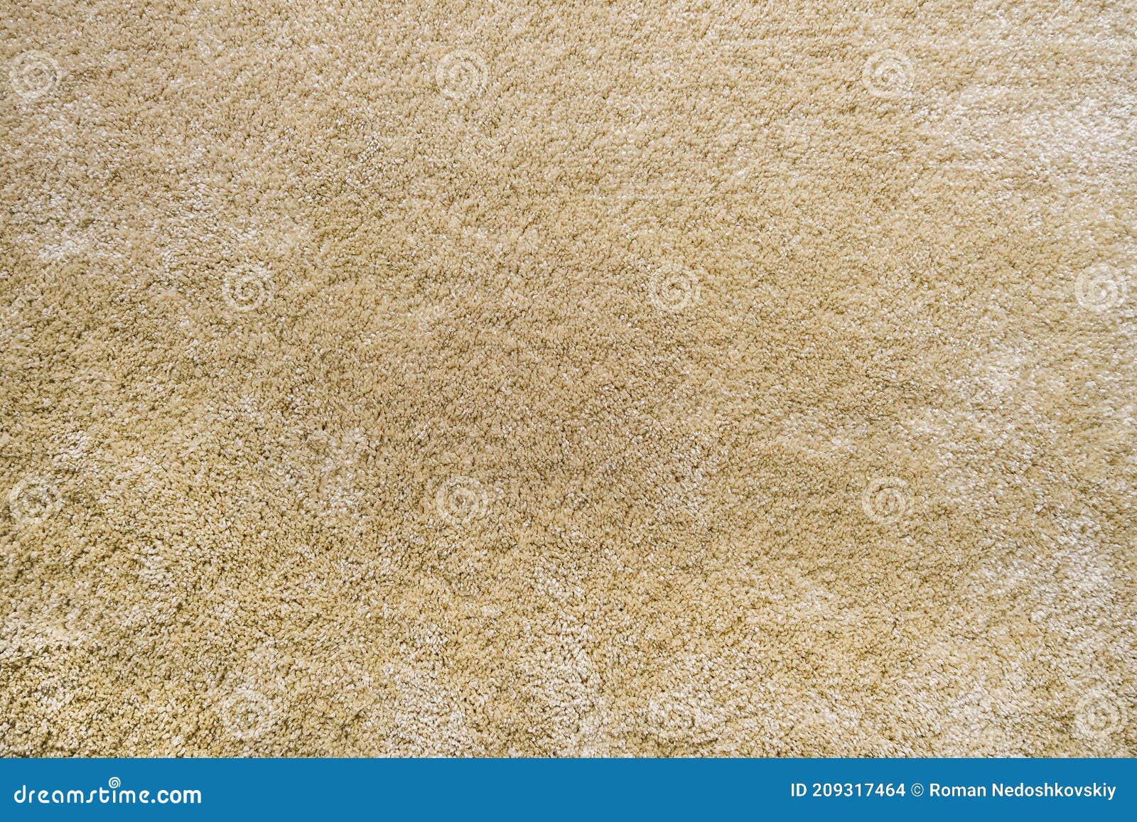 Surface of Beige Carpet. Frieze Wool Material Carpeting Stock Photo ...