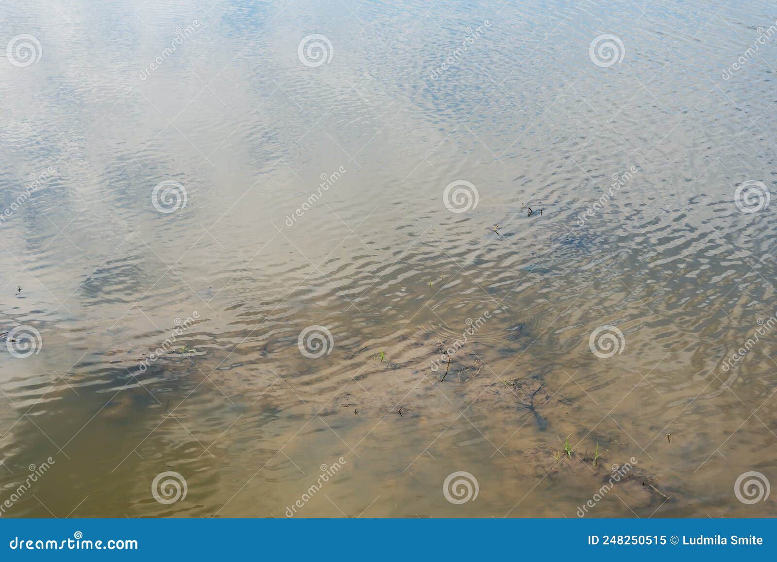 Puddle with waves stock image. Image of condition, nature - 248250515