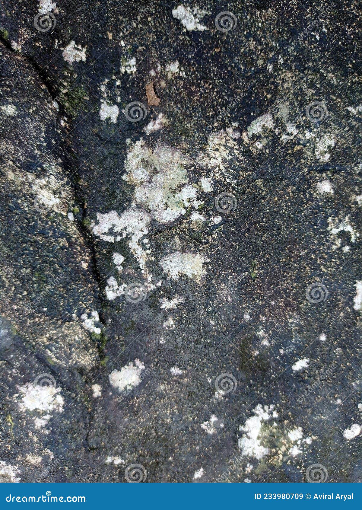 Surface of a Black Rock Having White Marks on it Stock Image - Image of ...