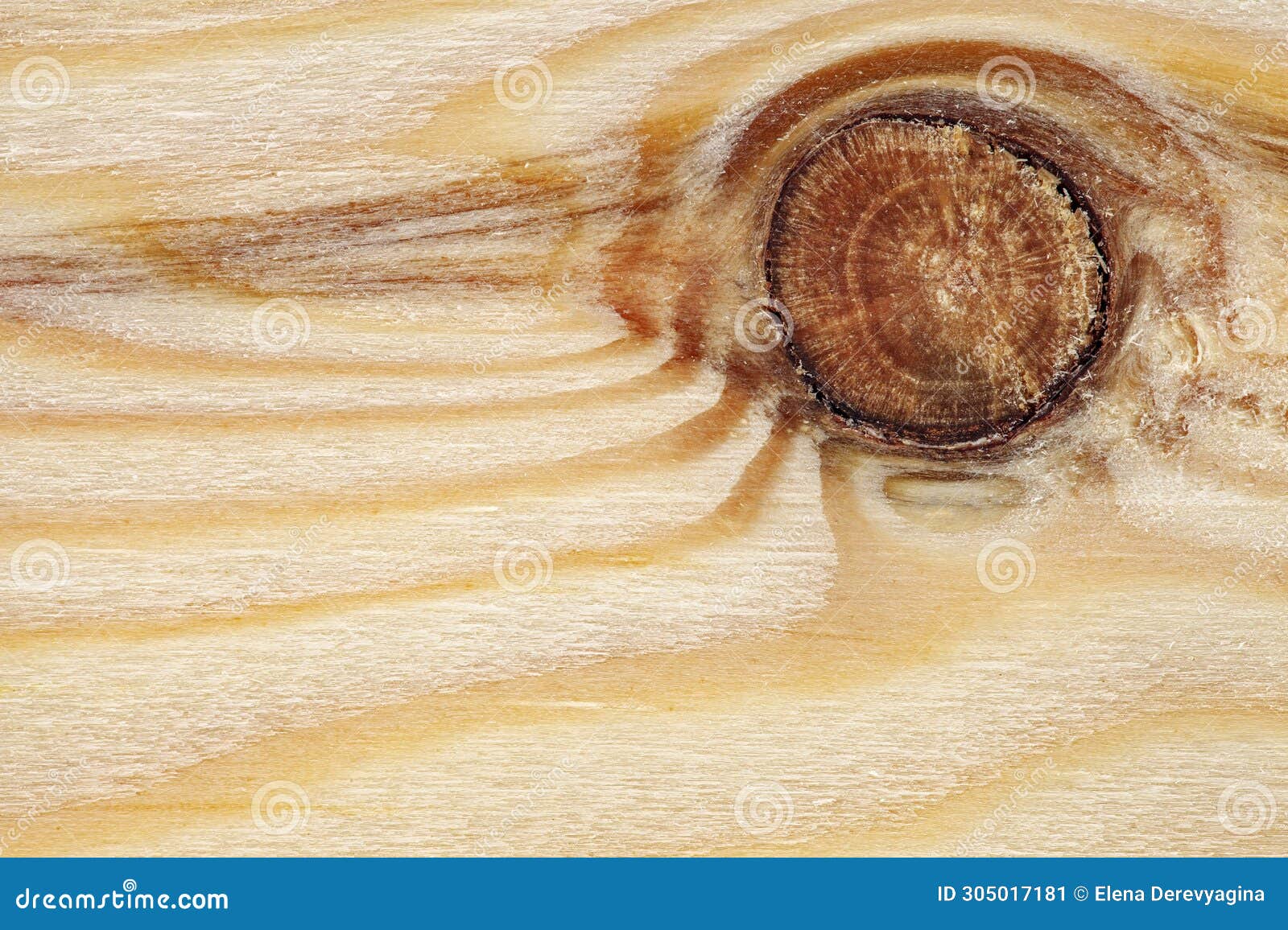 Surface of the Board in Close-up with Trace of Wooden Brown Knot ...