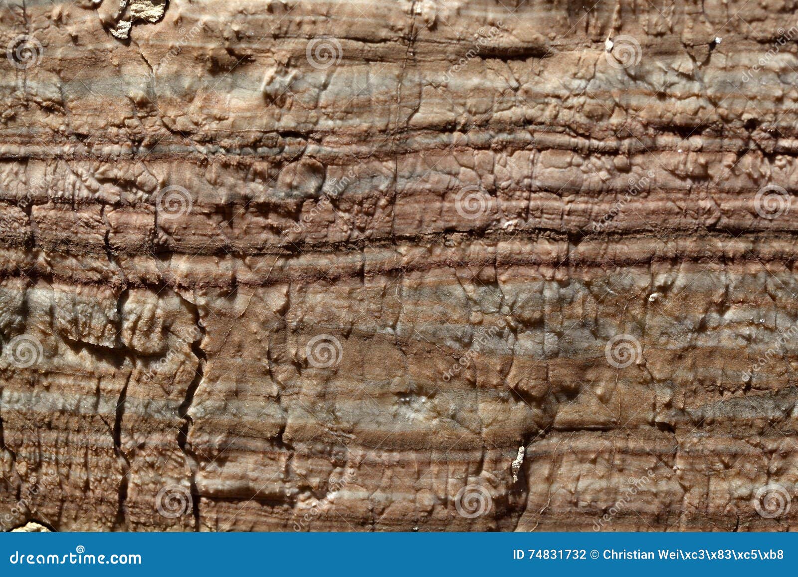 Surface of Carbonate Rock with Weathering Structures Stock Photo ...