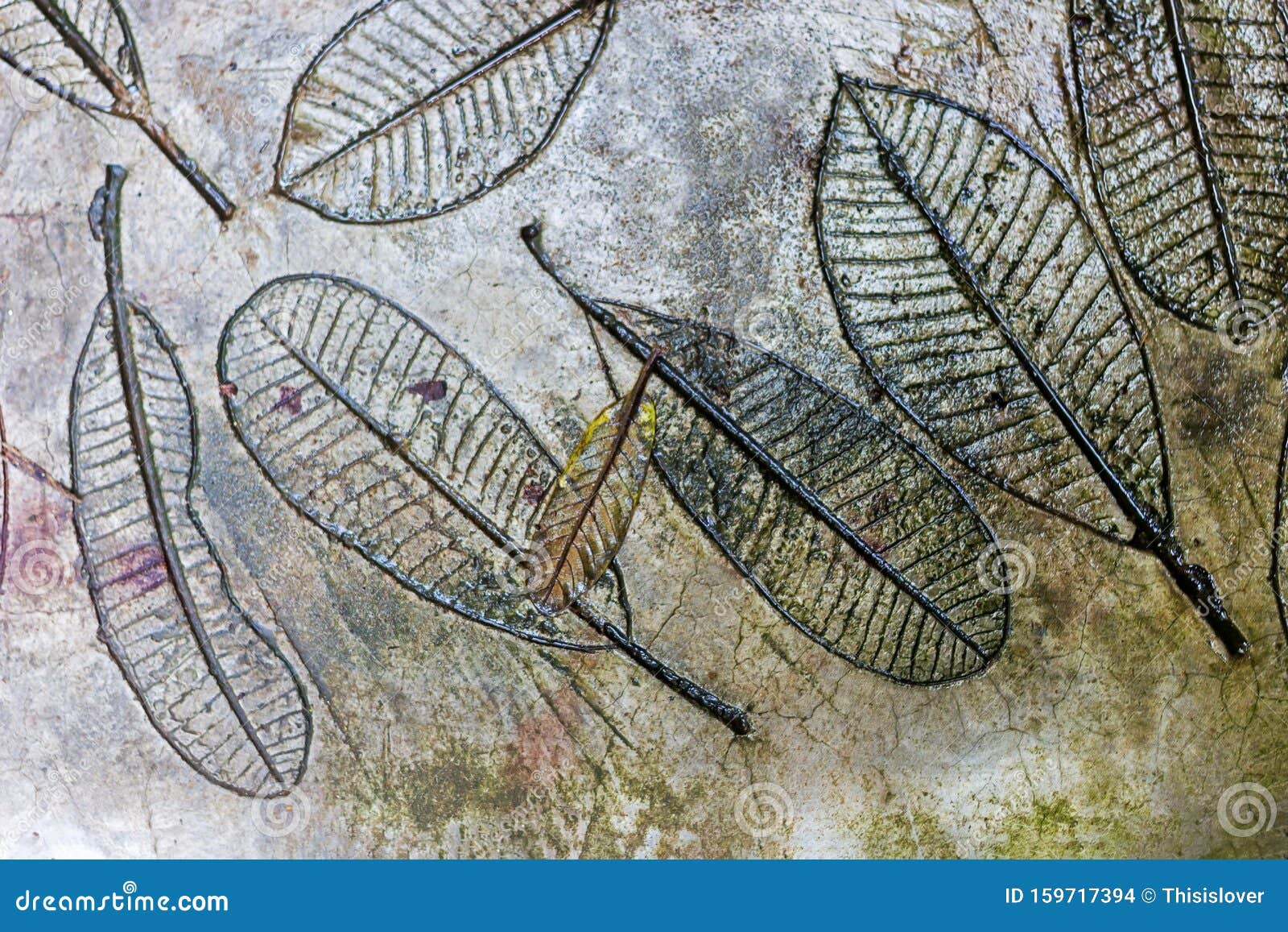 Background of Leaves on Cement Stock Photo - Image of pattern ...