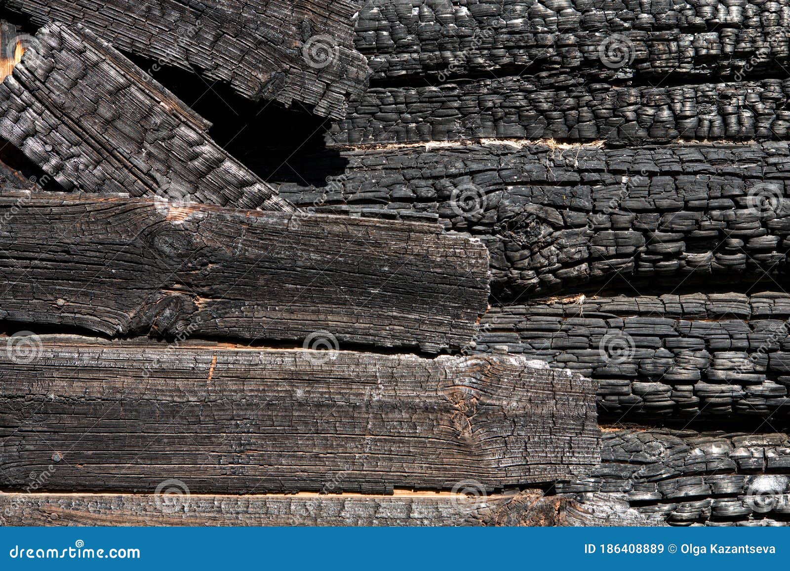 The Surface of a Charred Tree. Stock Image - Image of burnt, macro ...
