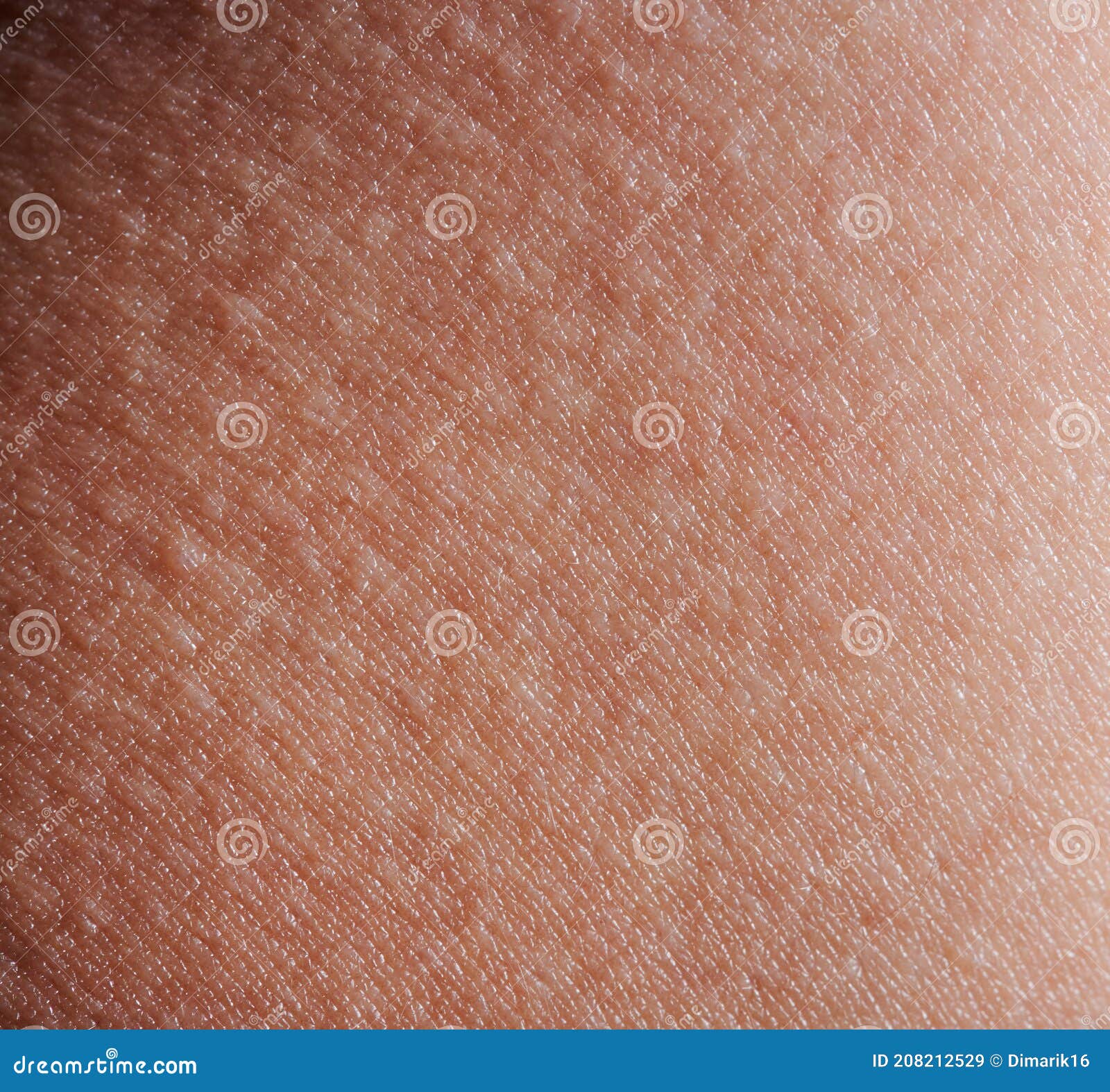 Surface of Clean Human Skin Stock Image - Image of pore, covering ...