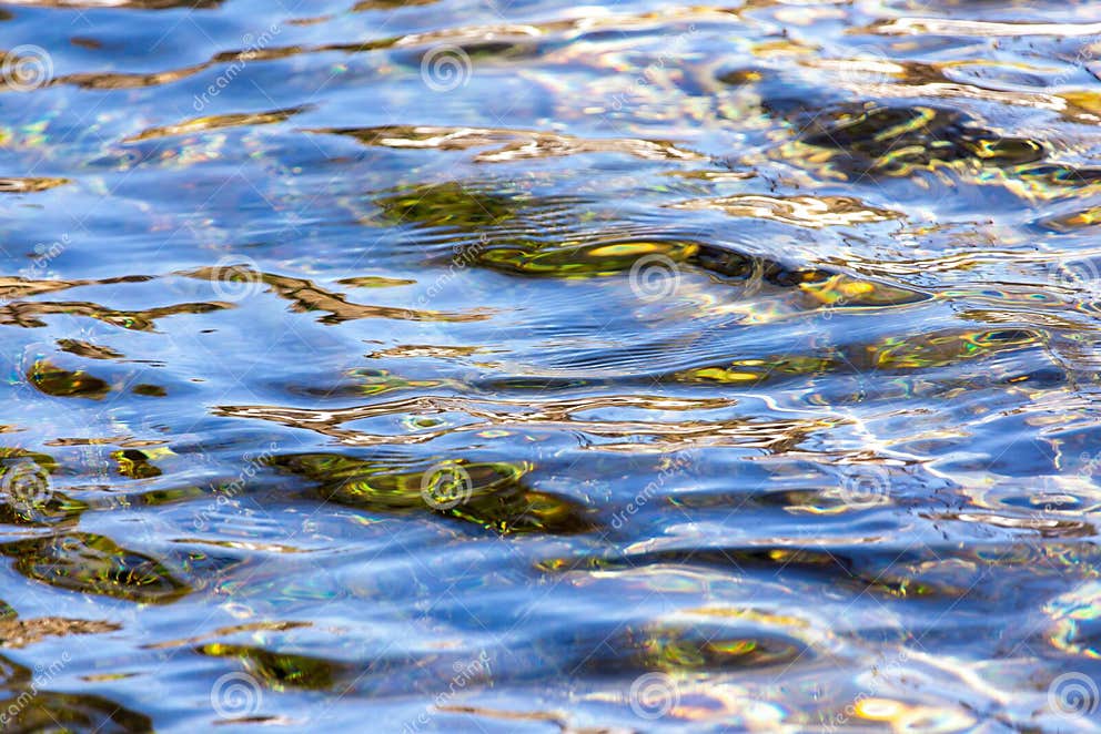 The Surface of Clear Water in a Pond Stock Photo - Image of natural ...