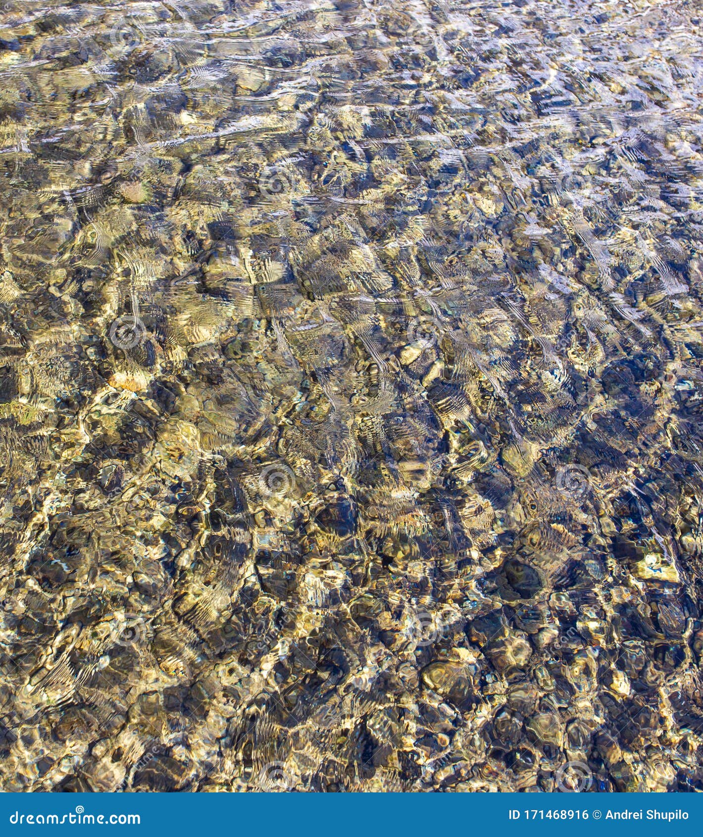 The Surface of Clear Water in a Pond Stock Photo - Image of aqua ...