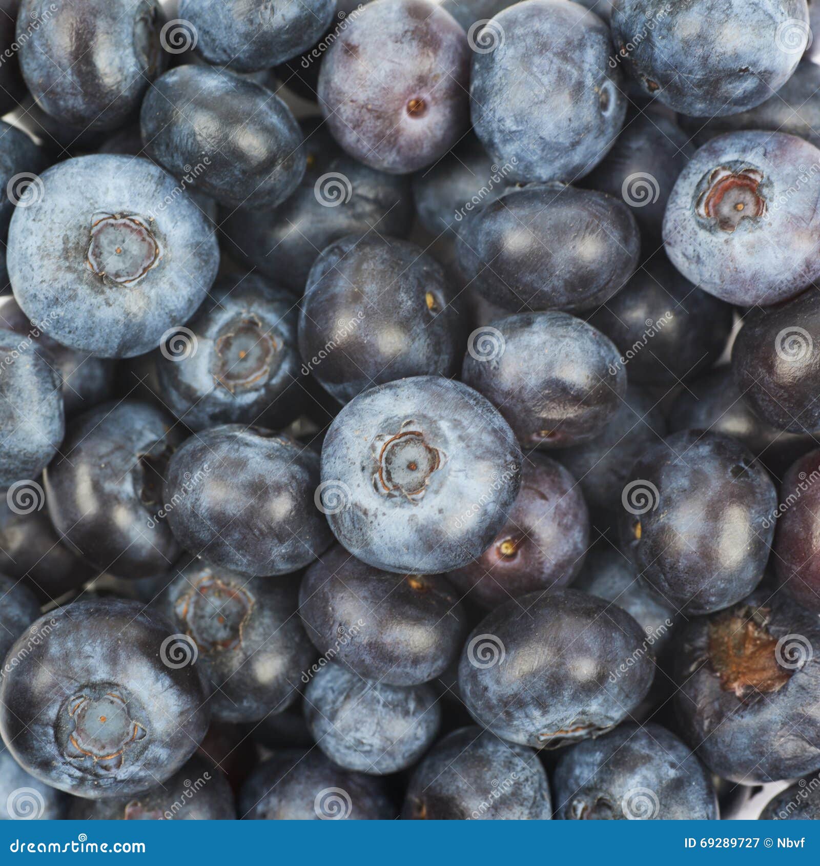 Surface Coated with Bilberries Stock Image - Image of fruits, dieting ...