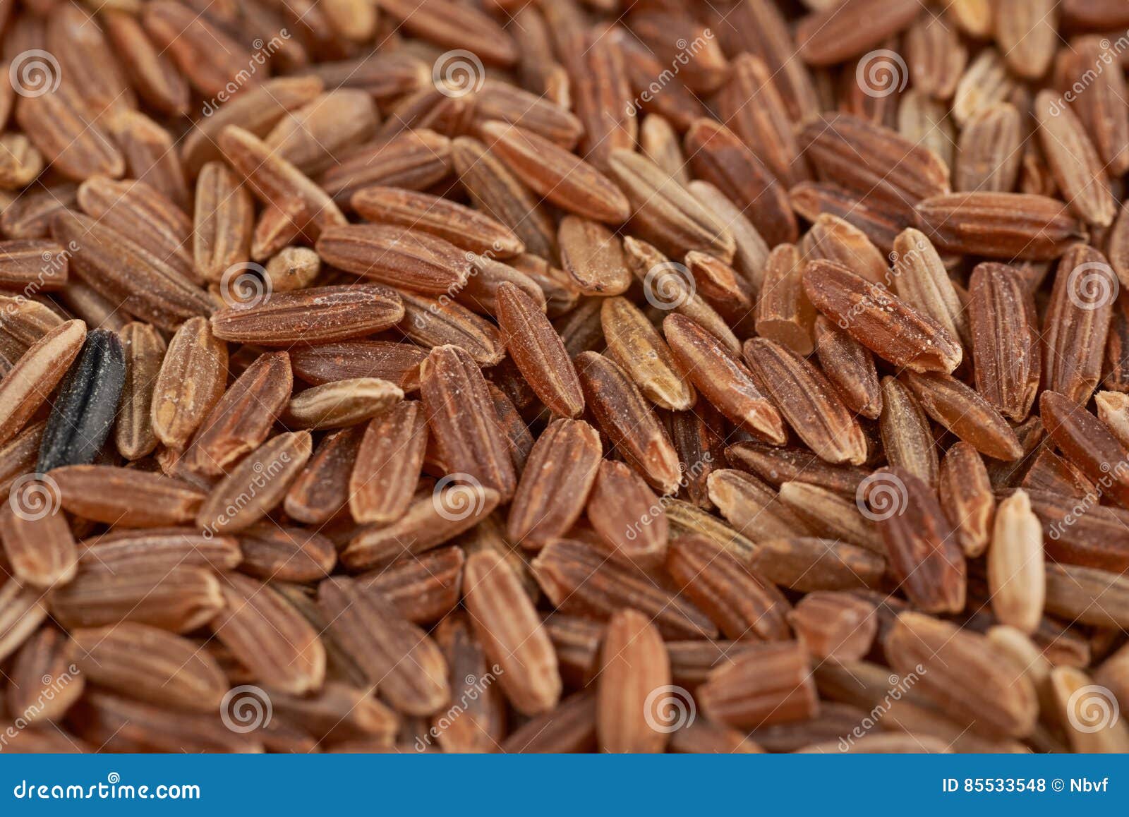 Surface Coated with the Brown Rice Grains Stock Photo - Image of ...