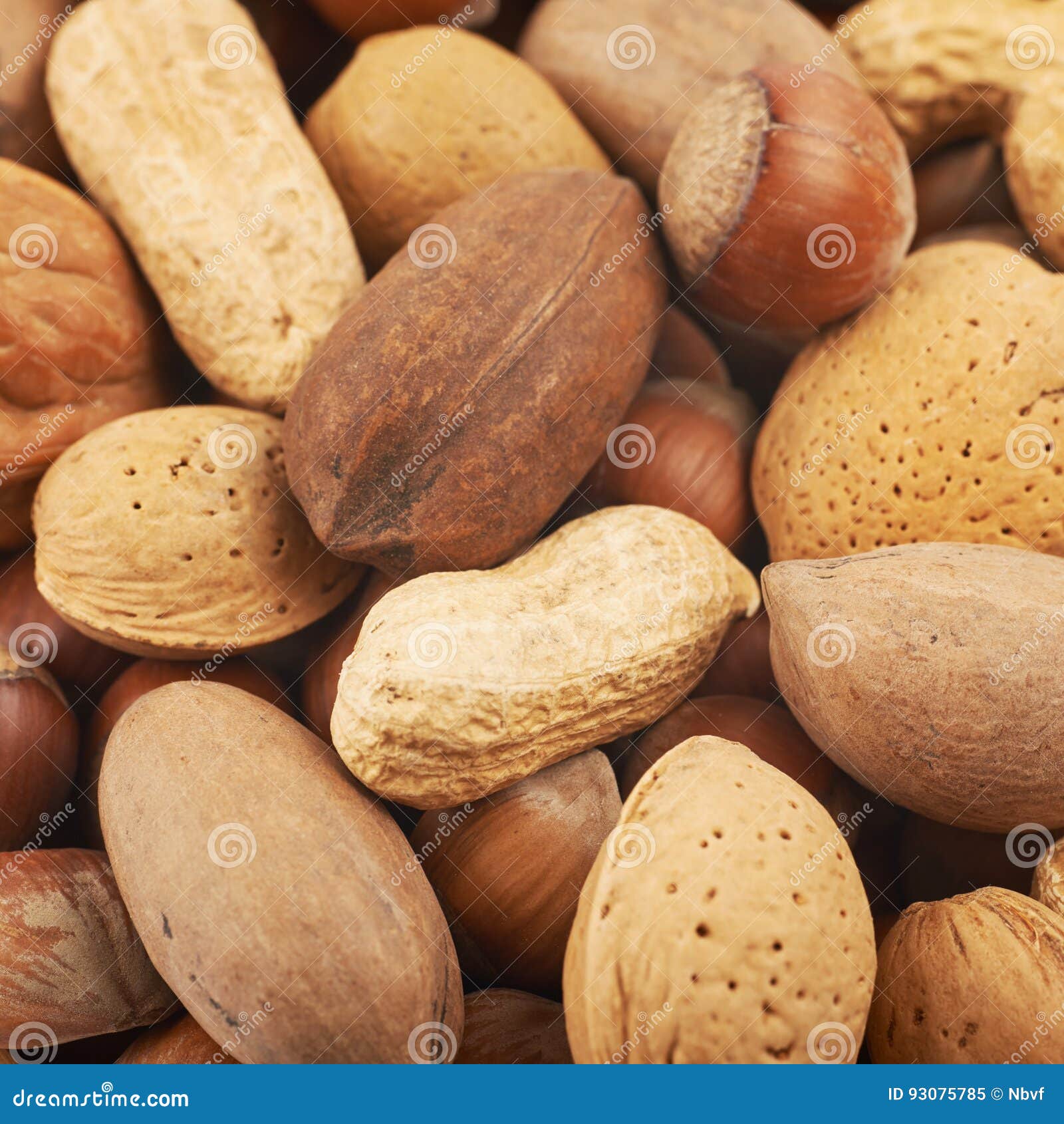 Surface Coated with Different Nuts Stock Image - Image of edible ...