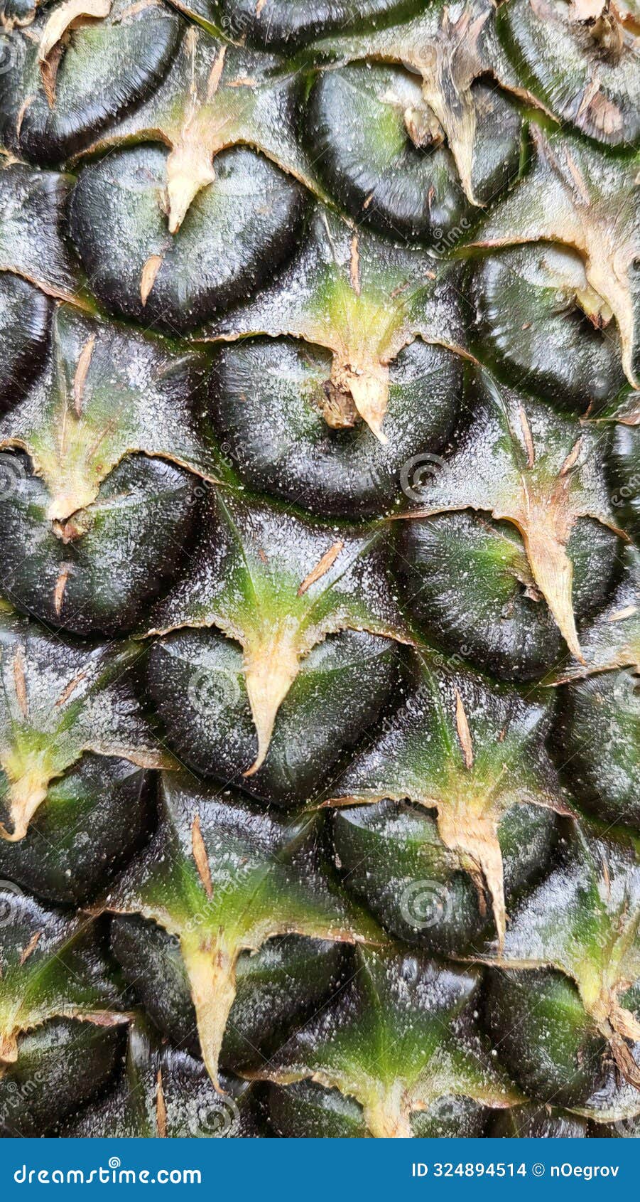 Very Close Surface Detail of Pineapple Fruit Peel Stock Photo - Image ...