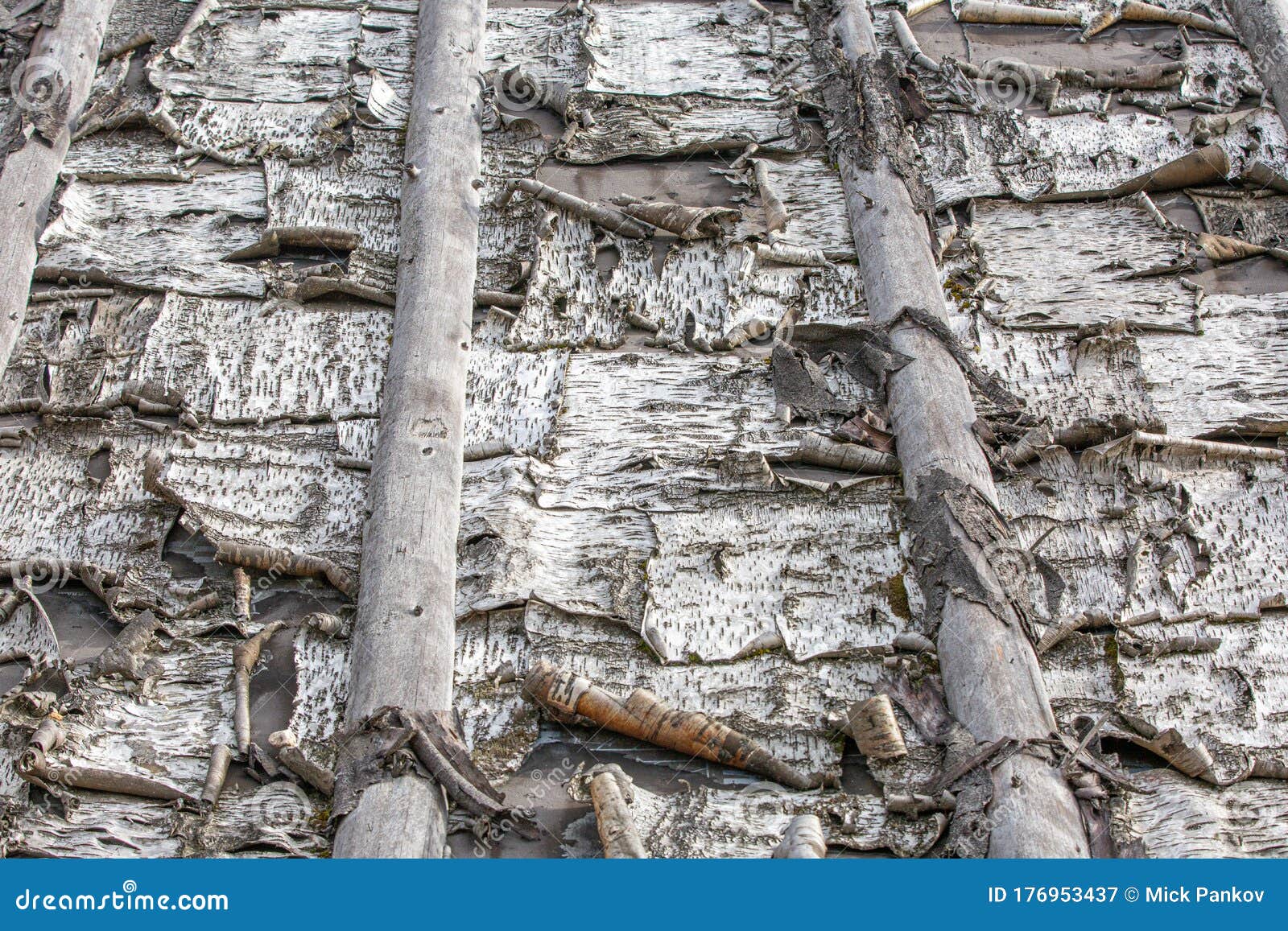 Surface Covered Bark of Birch on a Roof of Old Cabin Stock Image ...