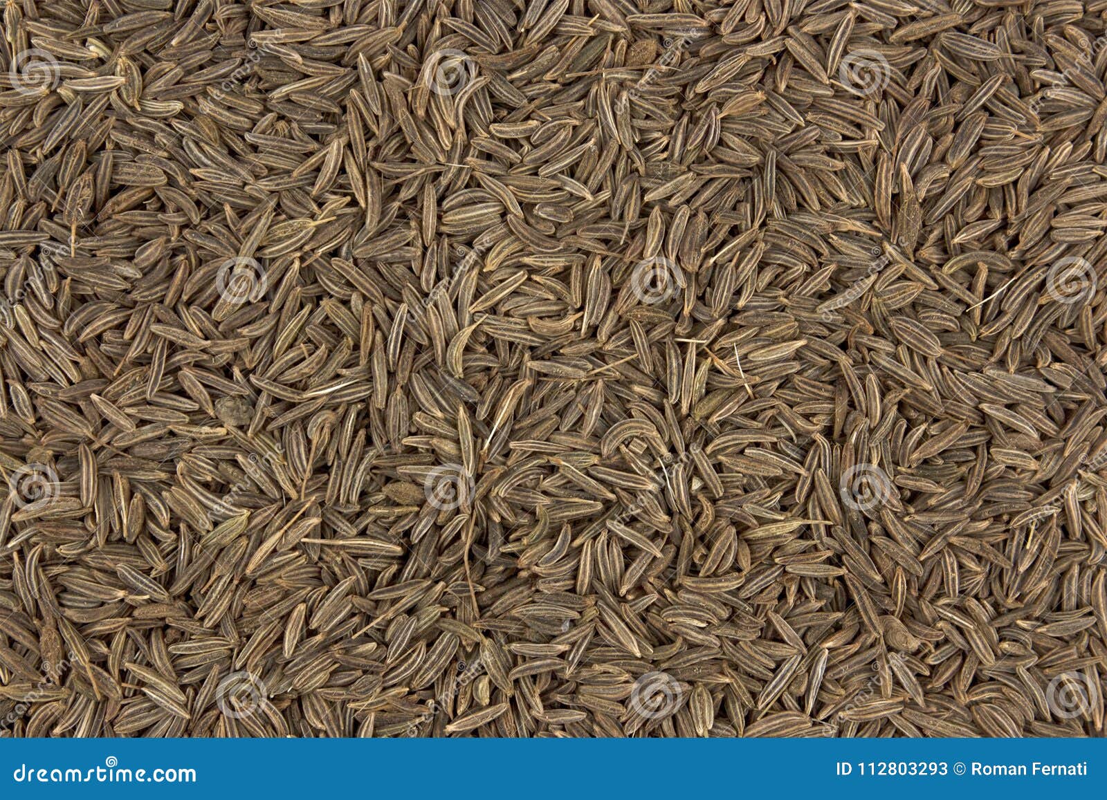 Cumin Seeds Texture, Full Frame Background Stock Image - Image of macro ...