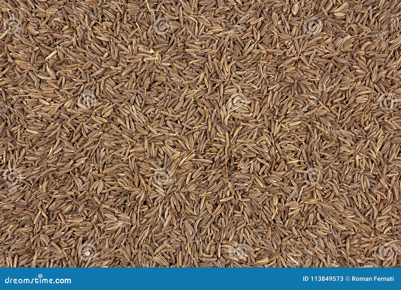 Cumin Seeds Texture, Full Frame Background Stock Image - Image of ...