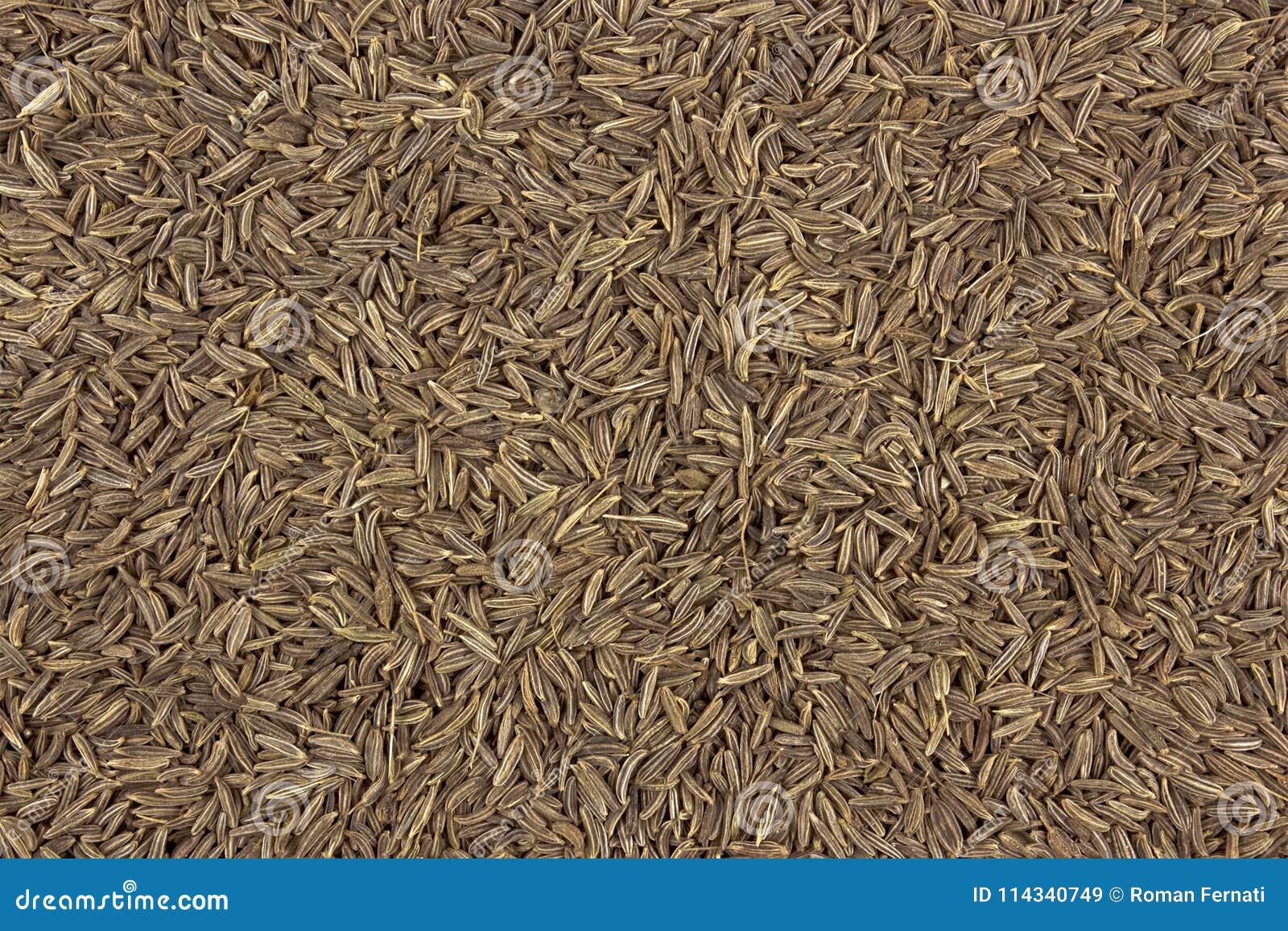 Cumin Seeds Texture, Full Frame Background Stock Image - Image of seeds ...
