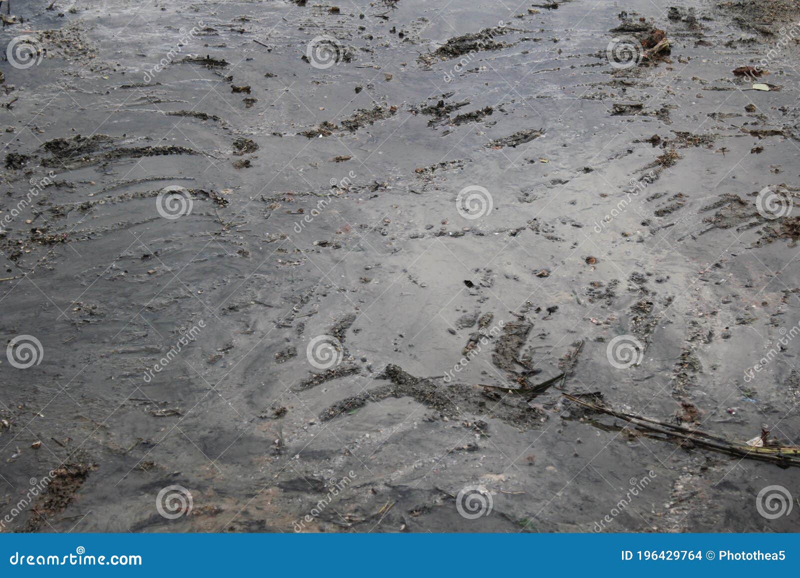 Surface Covered with Mud after Stream Overflow Stock Photo - Image of ...