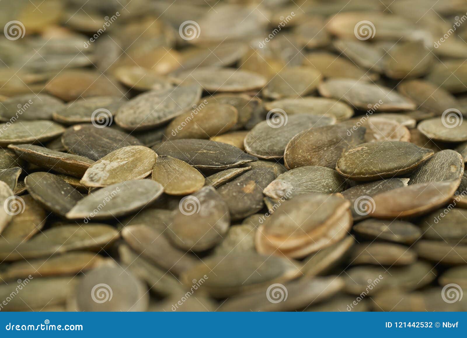 Surface Covered with Pumpkin Seeds Stock Photo - Image of organic, open ...