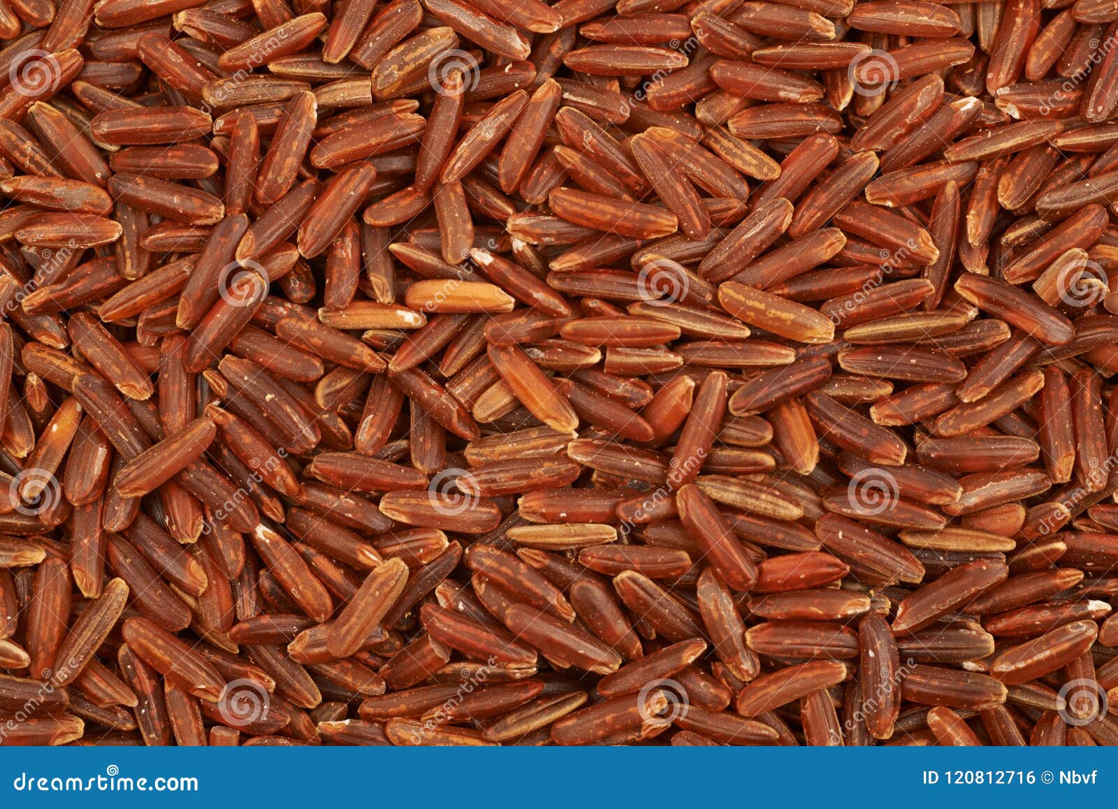 Surface Covered with the Red Rice Stock Photo - Image of healthy, long ...