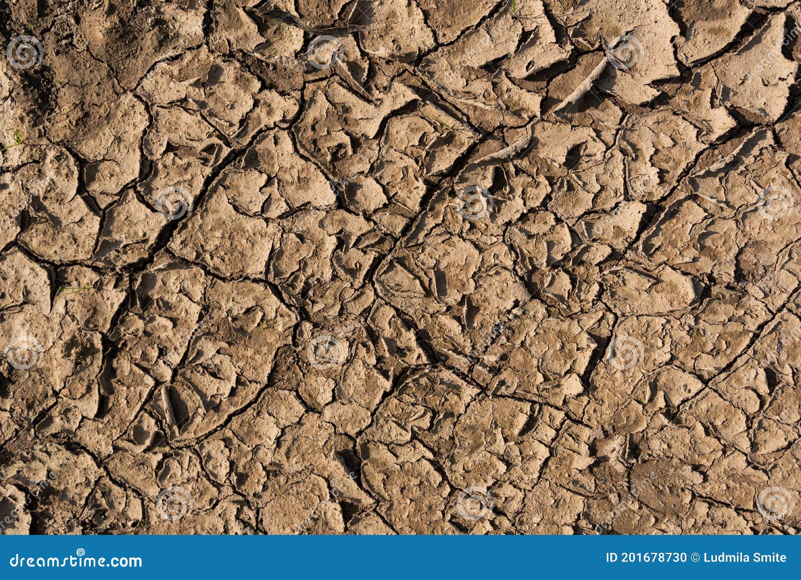 Surface of crack ground stock photo. Image of barren - 201678730