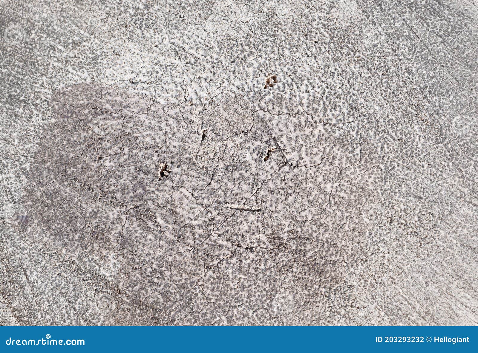 The Surface of the Cross Section of the Coconut Tree Stock Photo ...