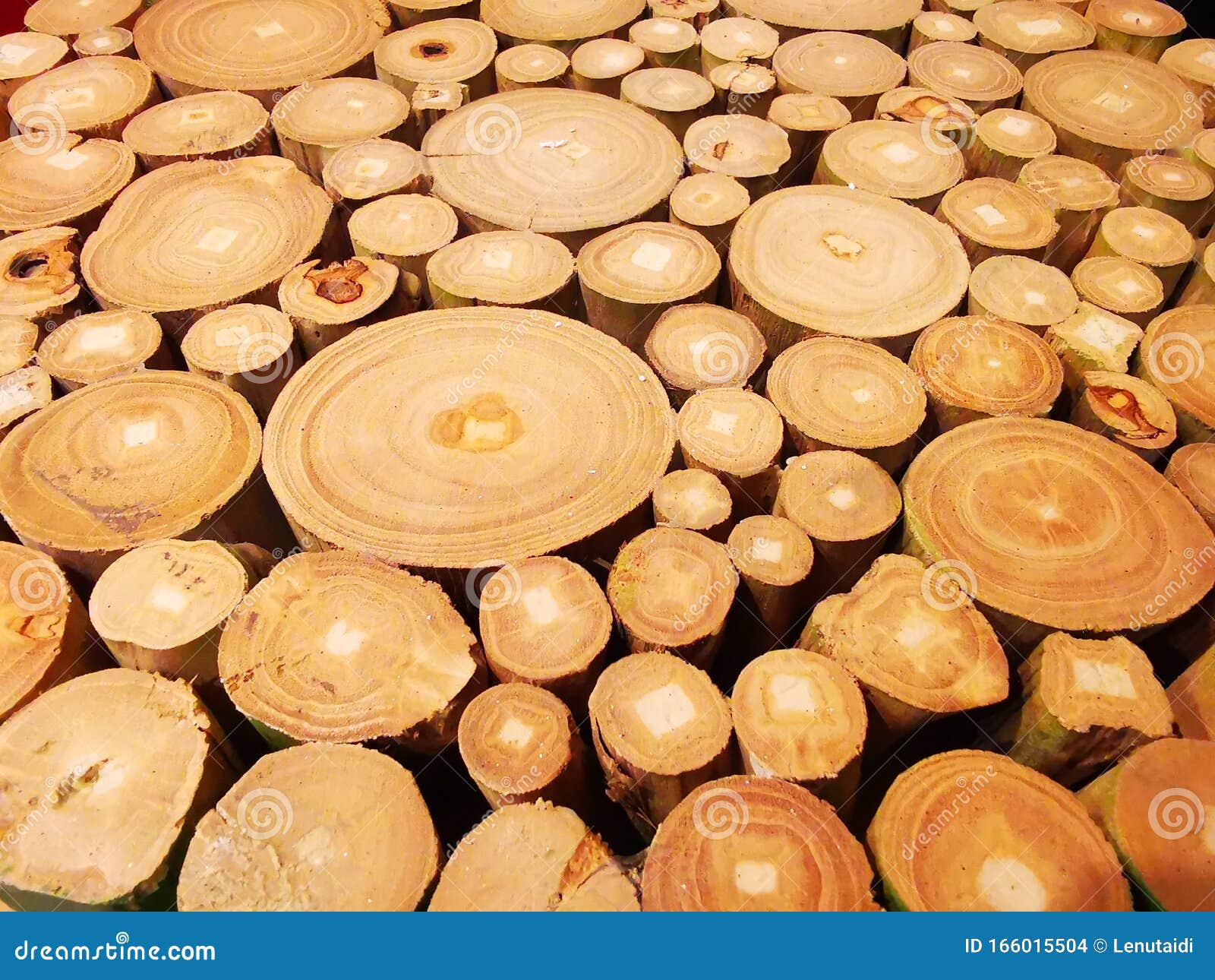 Surface of Cut Logs - Stacked Logs. Stock Photo - Image of concentric ...