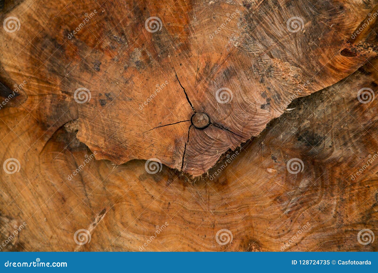 Cutted tree surface stock image. Image of growth, ring - 128724735