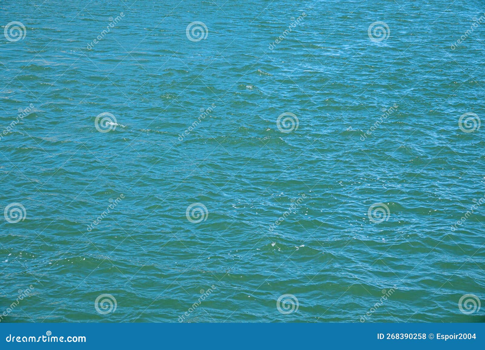 Surface d'eau bleue du lac photo stock. Image du fond - 268390258