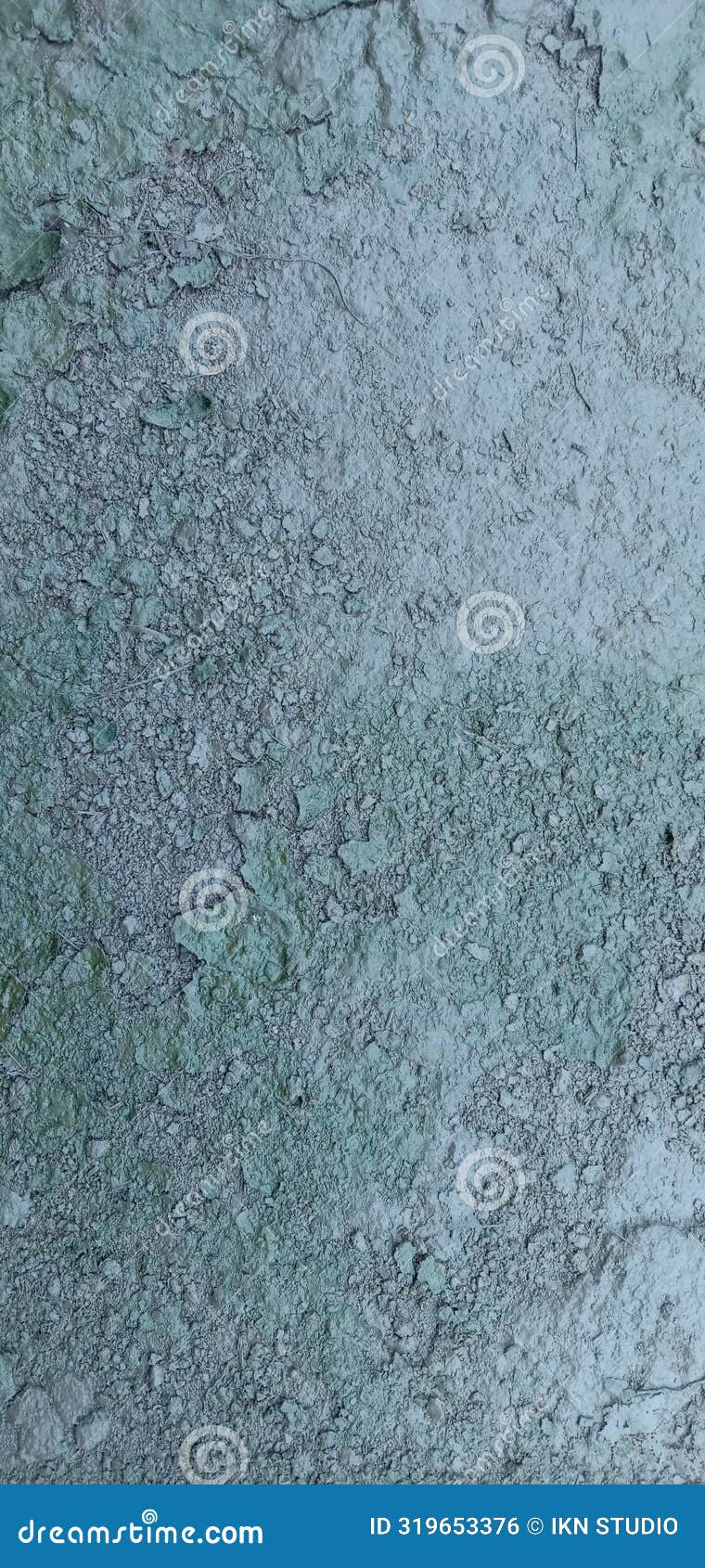 The Surface of the Damp Ground is Mossy and Peeling Stock Photo - Image ...