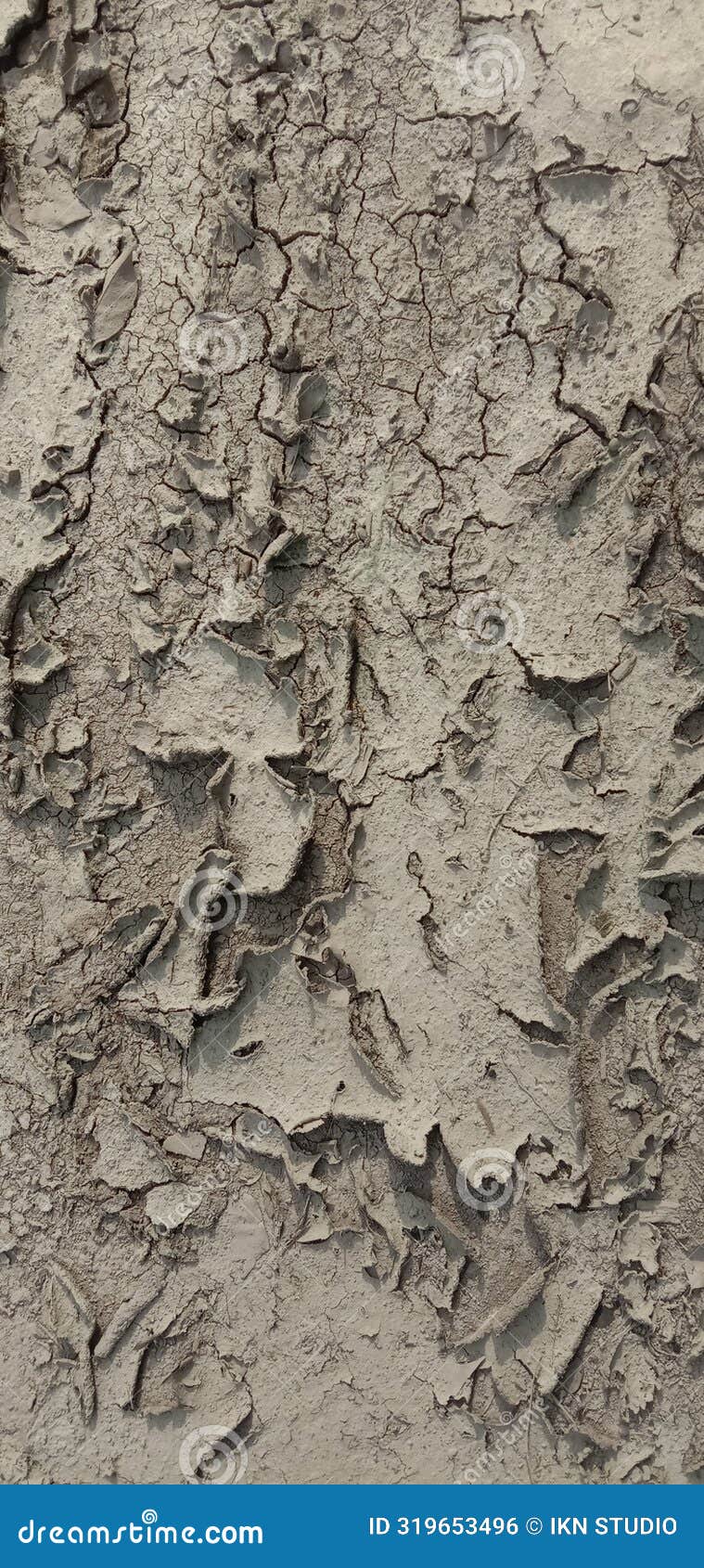 The Surface of the Damp Ground is Mossy and Peeling Stock Photo - Image ...