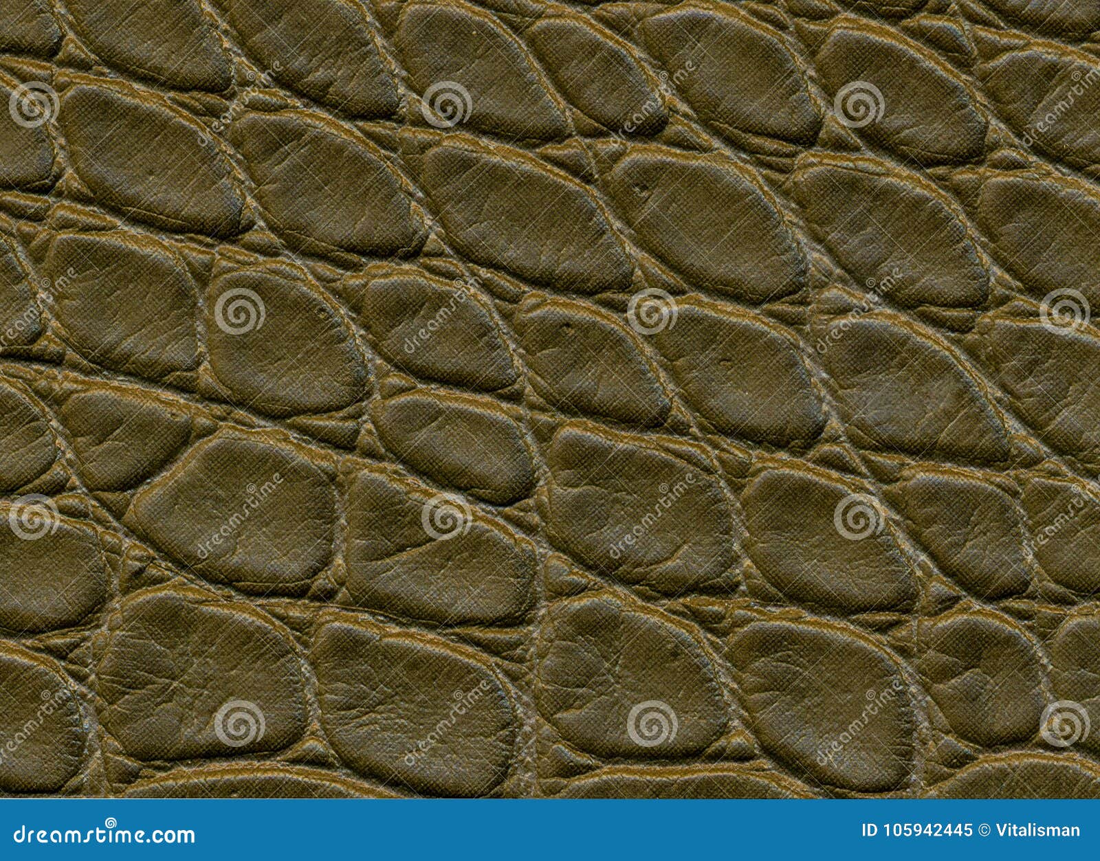 Surface of Dark Crocodile Leather. Background Stock Image - Image of ...