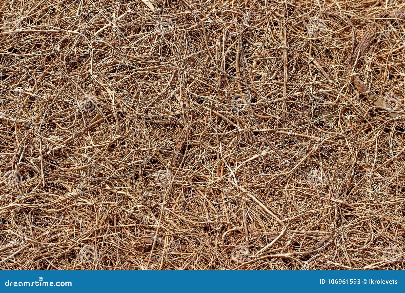 Surface De Fibre De Noix De Coco Texture Ou Fond Image stock - Image du ...
