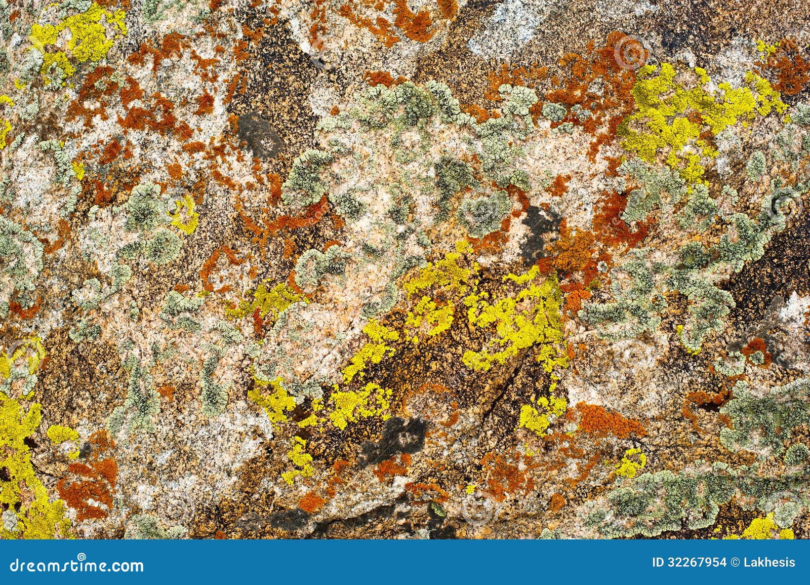 Surface De Roche Avec Le Lichen Et La Mousse Photo stock - Image du ...