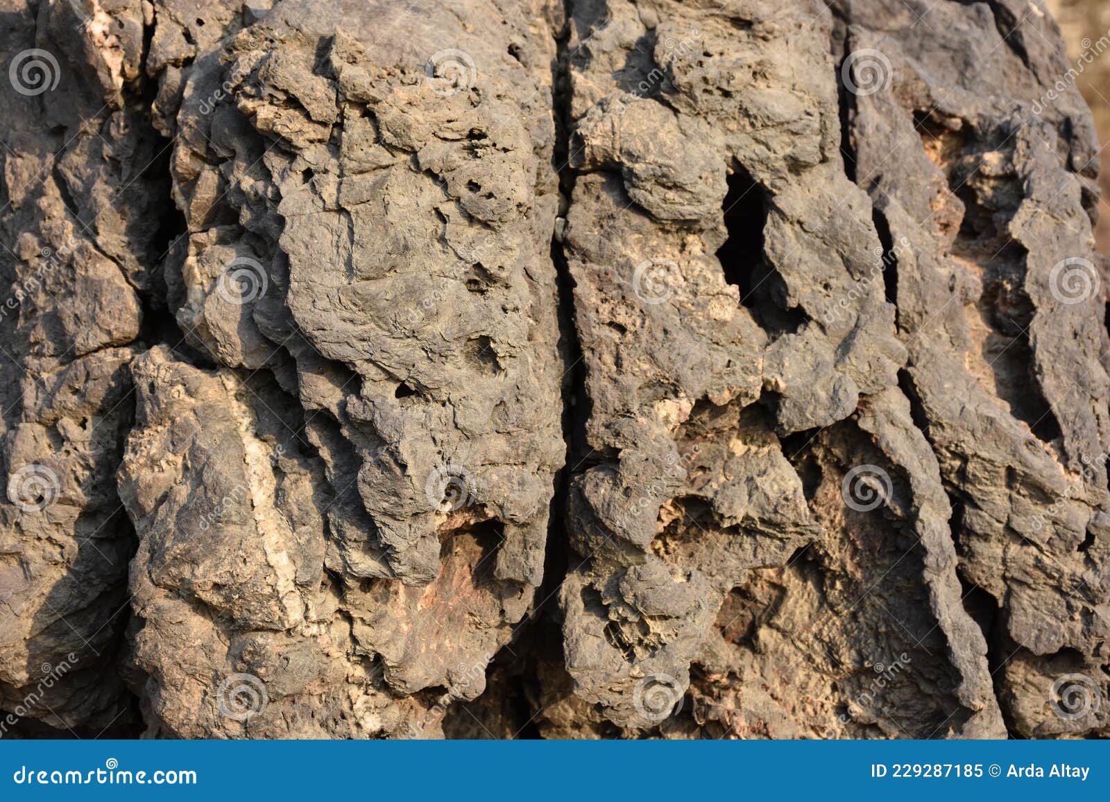 Surface De Roche Volcanique Avec Pores Larges Image stock - Image du ...