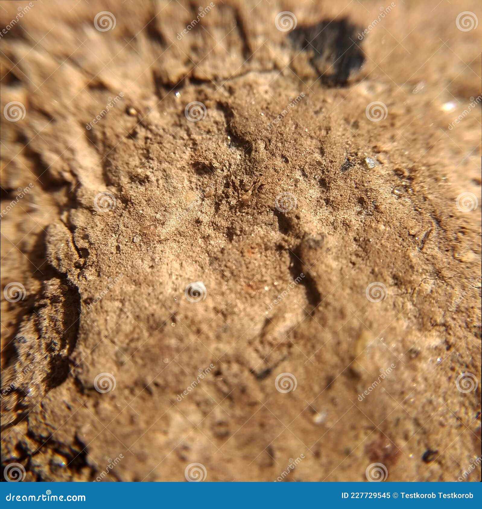 The Surface of Dense Earth of a Similar Structure, Captured with a ...