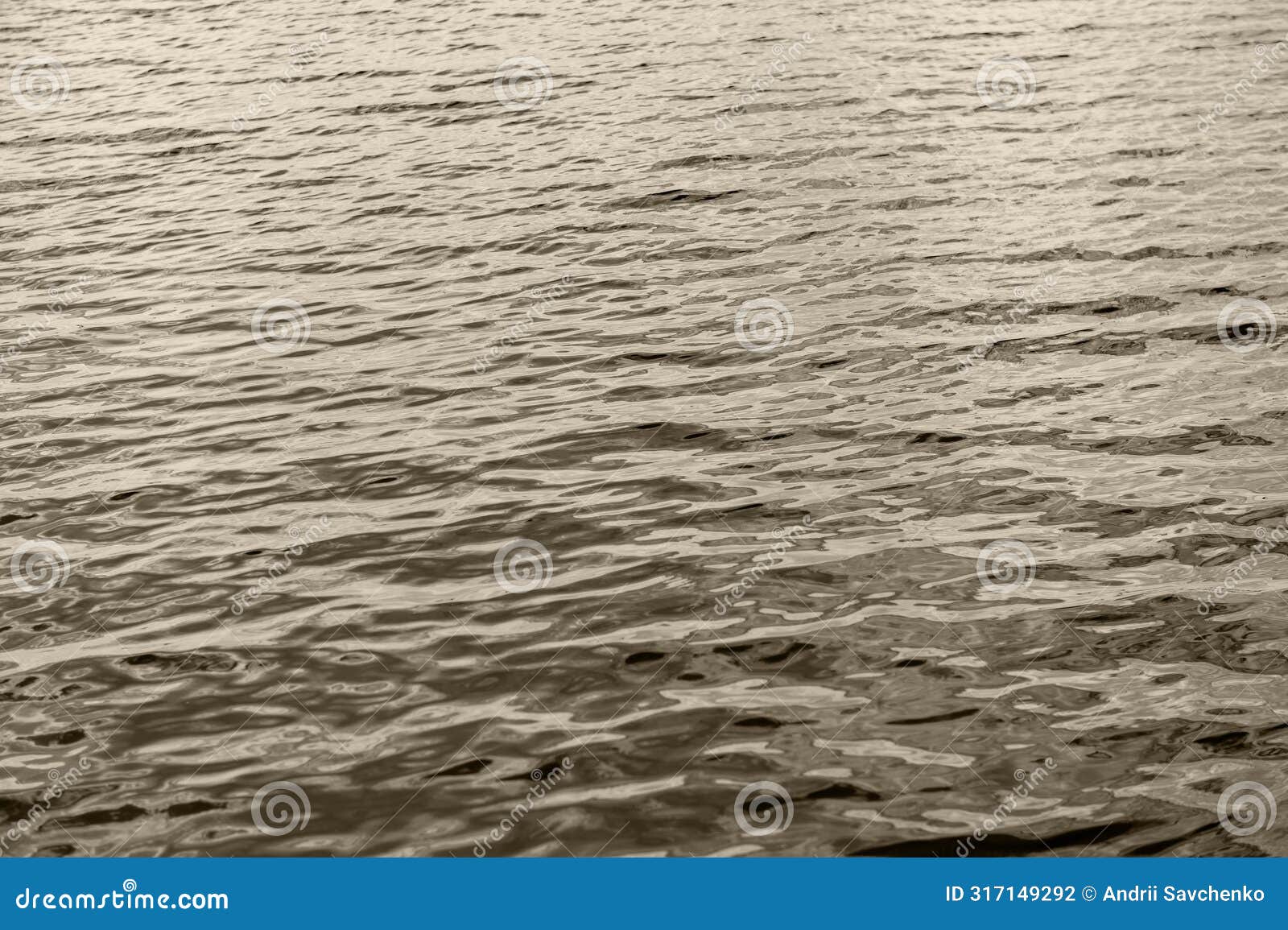 Surface of Dirty Water. Texture of Dirty Water Stock Photo - Image of ...